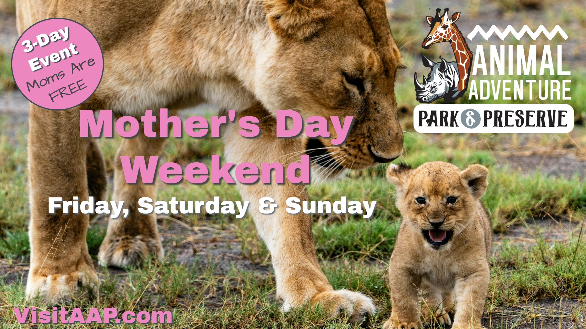 Animal Adventure Park